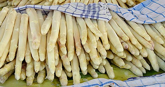 Termine Spargelessen Kohlfahrten